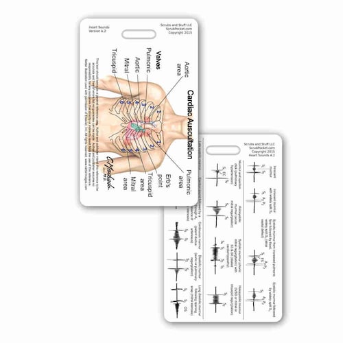 Dermatome Badge Pocket Card Vertical for Nurse Paramedic EMT - Etsy