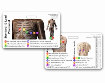 Complete EMS Vertical Badge Card Set 13 Cards for ID Badge - Etsy