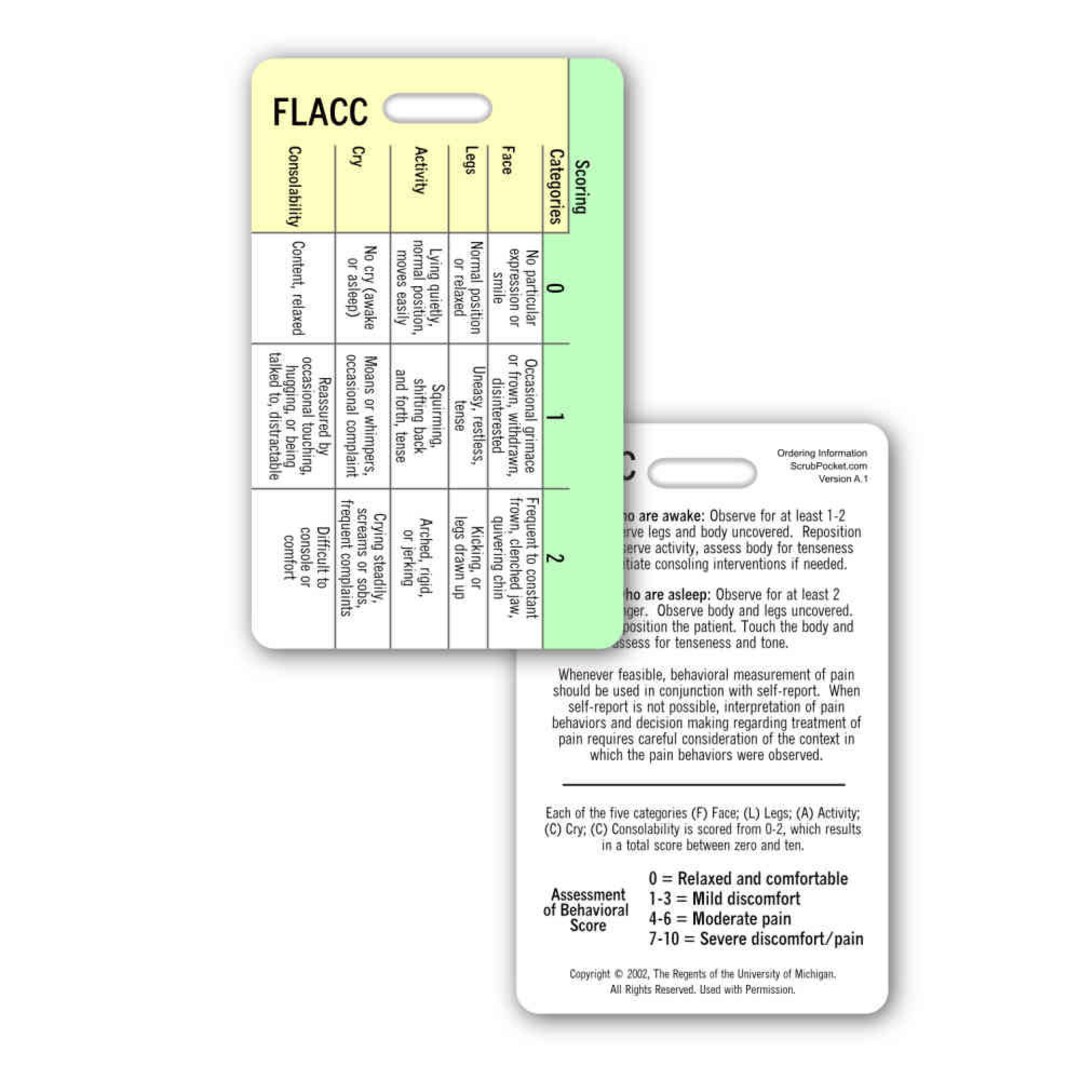 FLACC Pain Scale Vertical Badge Card Accessory for Nurse Paramedic EMT ...