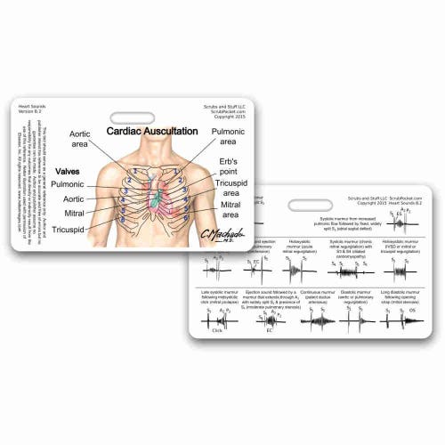 Dermatome Badge Pocket Card Horizontal for Nurse Paramedic EMT - Etsy