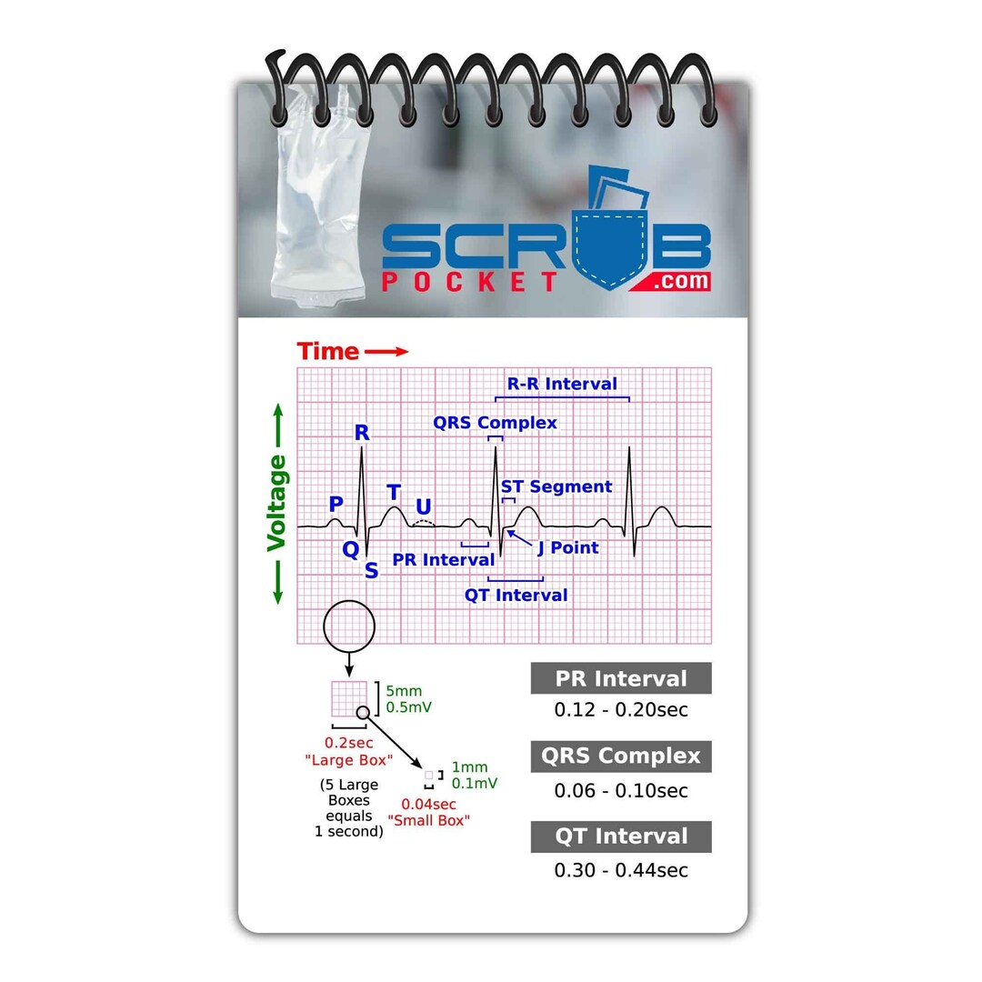 Reusable, EKG, Nurse Notepad, Nursing Notes, Gift for Nurse, Paramedic ...