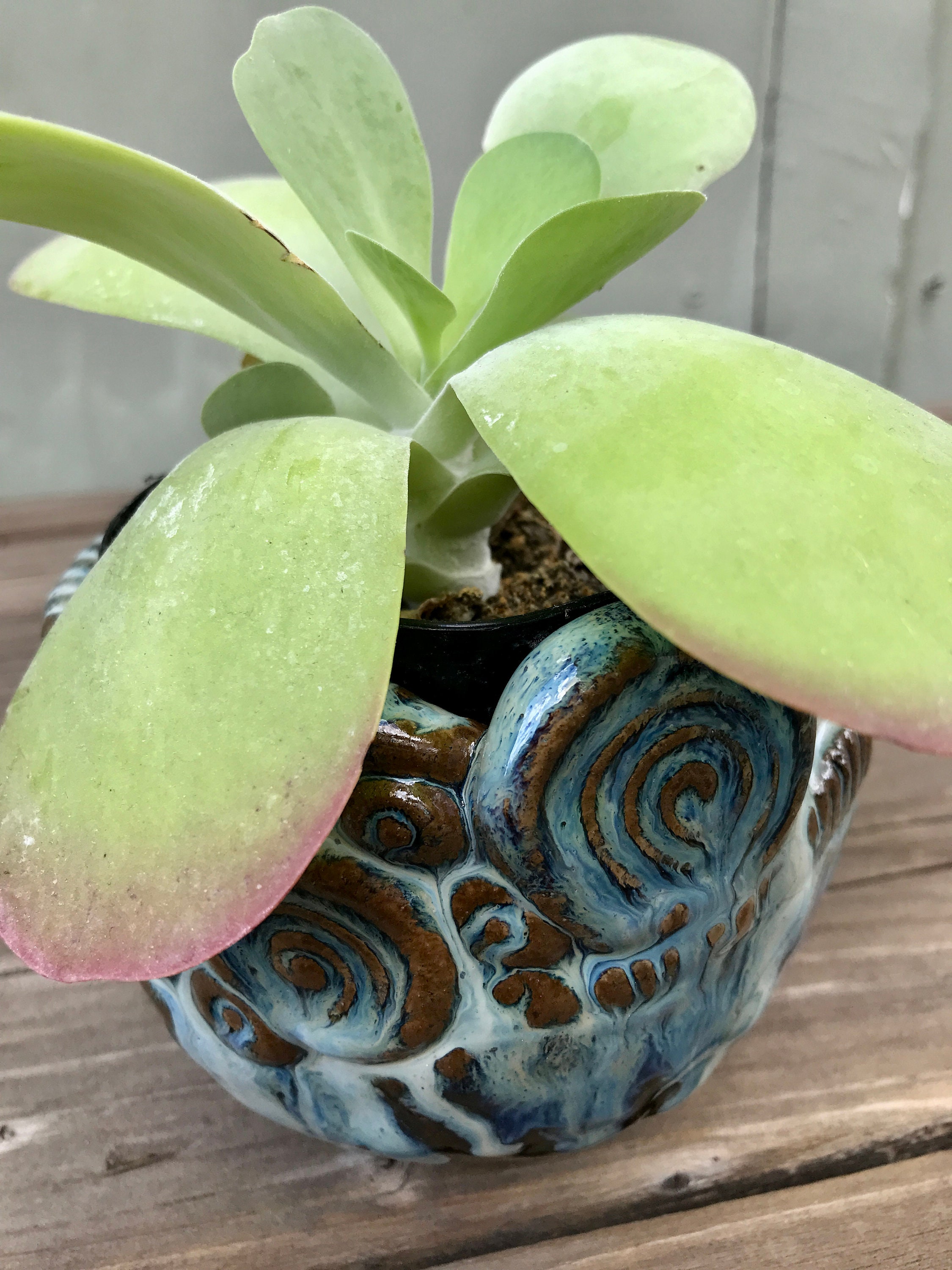 Ceramic, Rustic, Small, Handmade, Planter, Ceramic Pot, Ceramic Bowl - Etsy