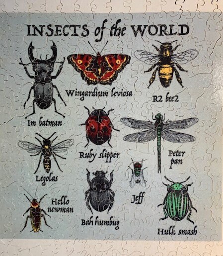 Bug Chart - Etsy