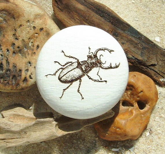 Furniture Button Beetle Deer Beetle Wood Engraving Insects | Etsy