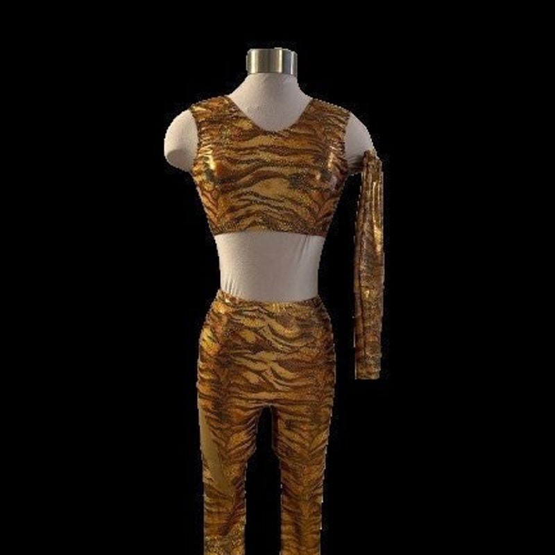 Katy Perry Roar Costume - Etsy
