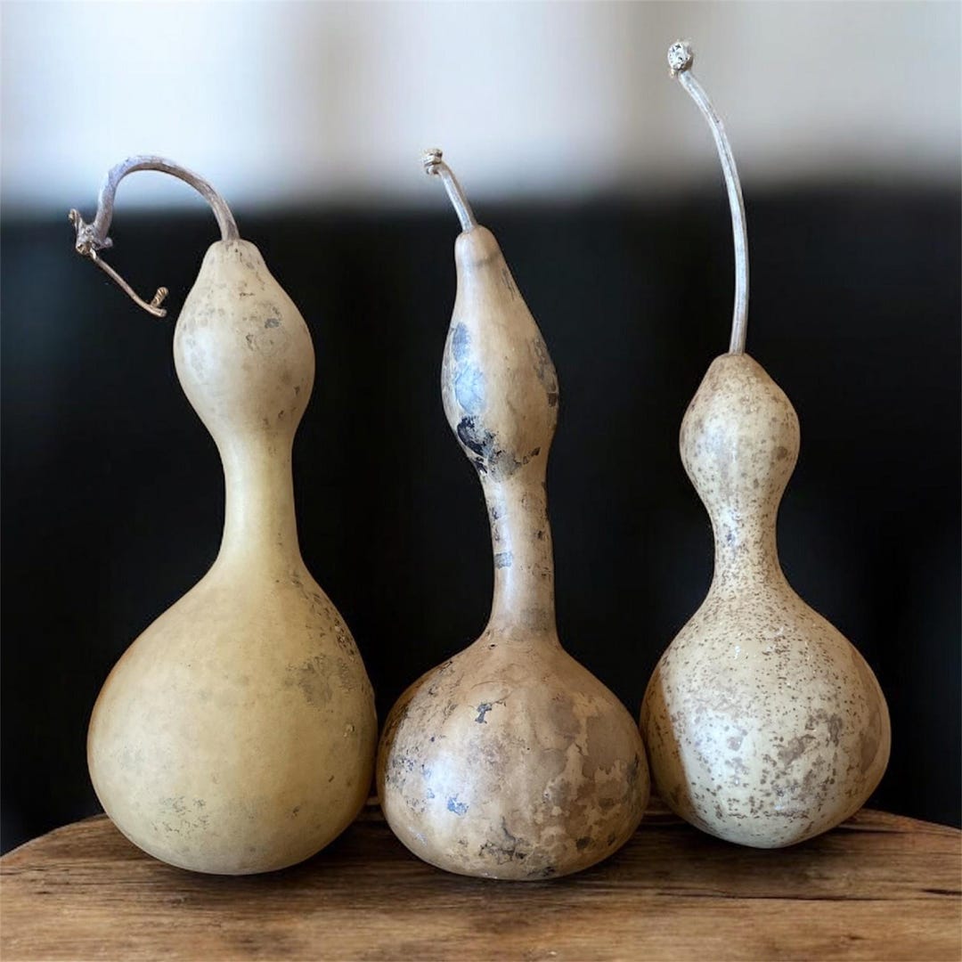 Three Lump-in-neck Bottle Gourds for Crafting - Etsy