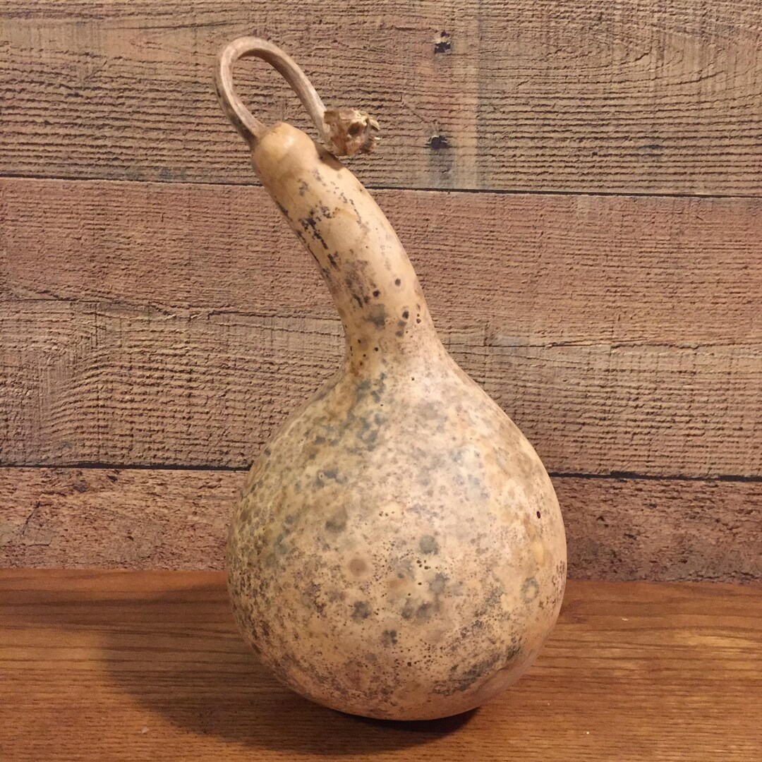 Small Dried Dipper Gourd for Crafting - Etsy