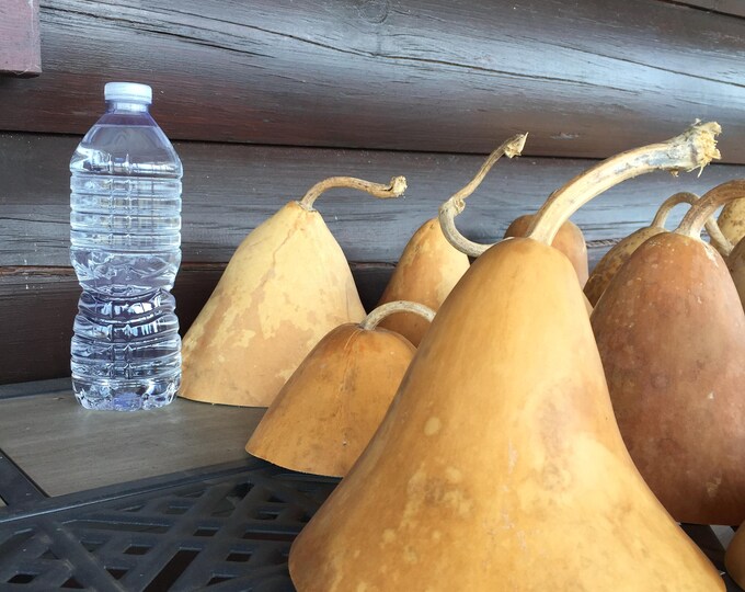 Dried Gourd Tops for Crafting - Etsy
