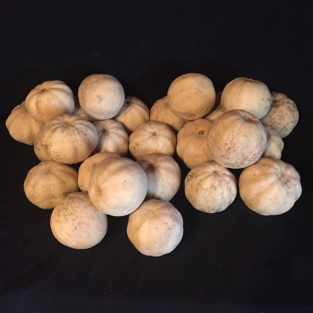 Set of 25 Small Round Gourds for Crafting - Etsy