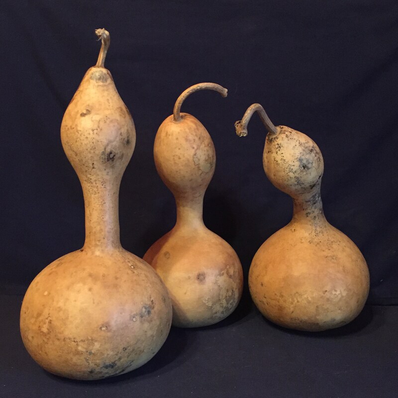 GourdgeousbyStacy - Etsy