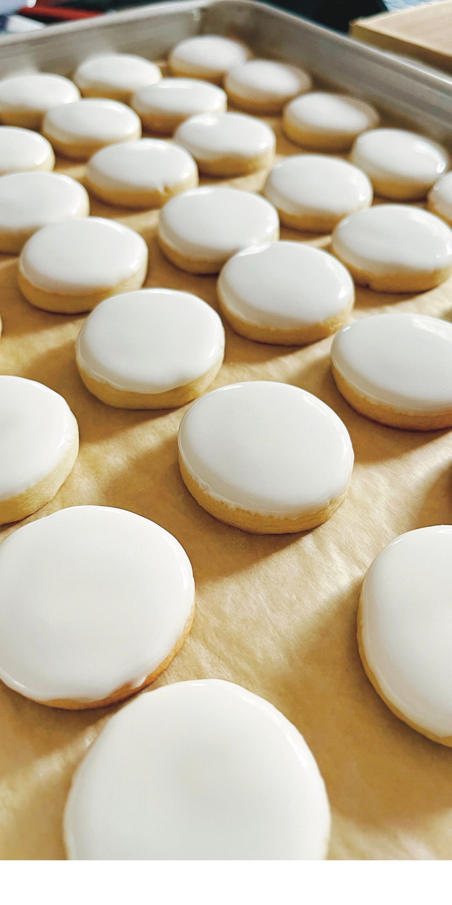 Blank Iced Cookies: Eddie Printer Compatible, Nut Free (dozen) - Etsy