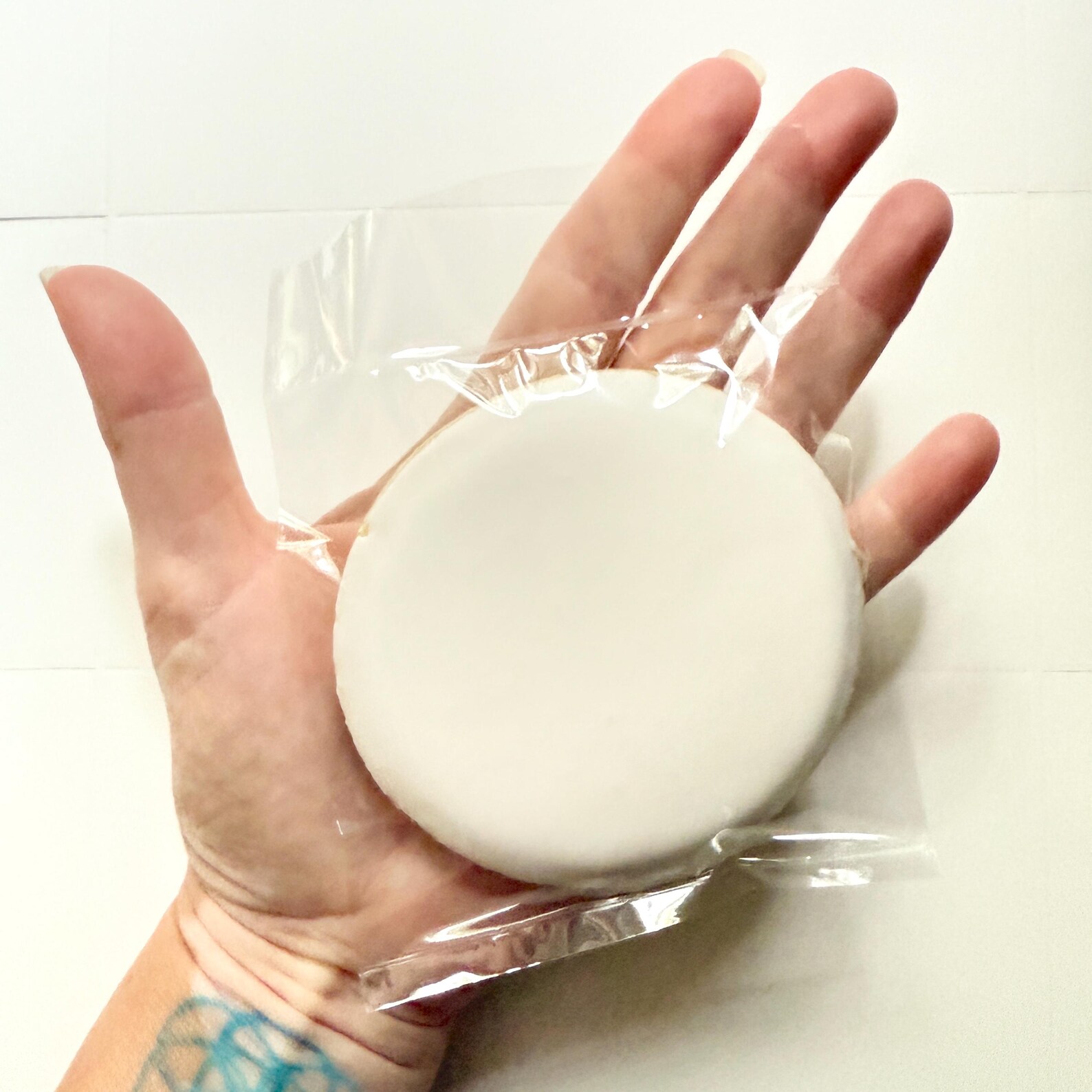 Blank Iced Cookies: Eddie Printer Compatible, Nut Free (dozen) - Etsy