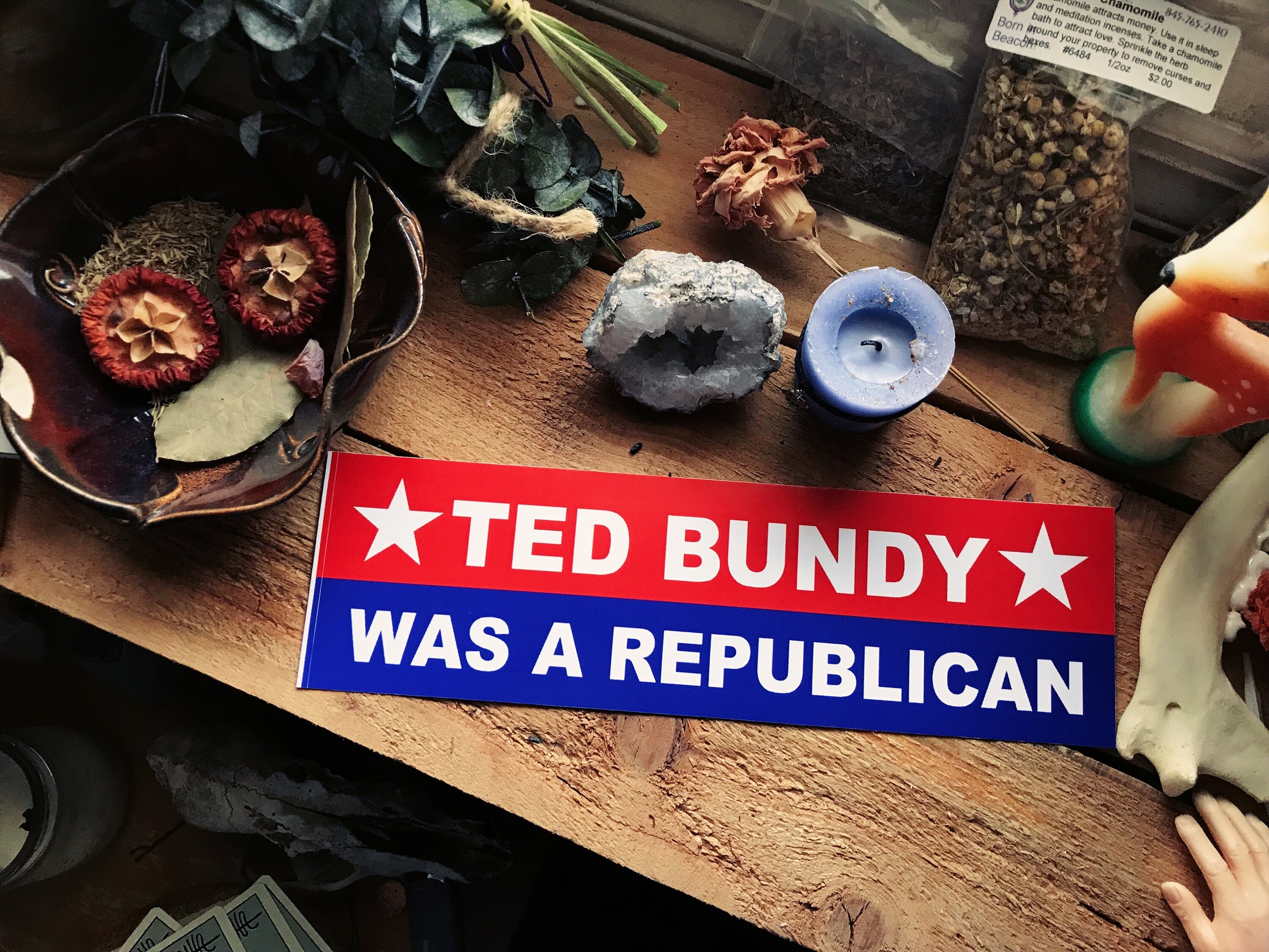 Ted Bundy Was a Republican Bumper Sticker - Etsy