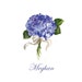 Hydrangea Note Cards, Personalized Stationery - Etsy