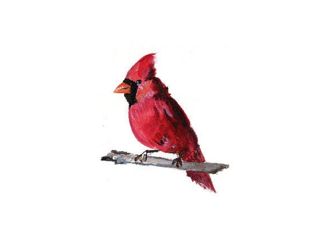 Cardinal Note Cards/ Personalized Stationery - Etsy