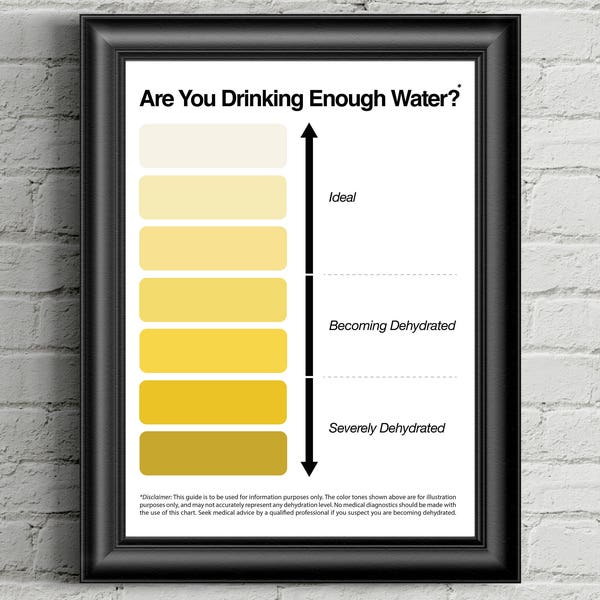 Bright Color Decor - Etsy