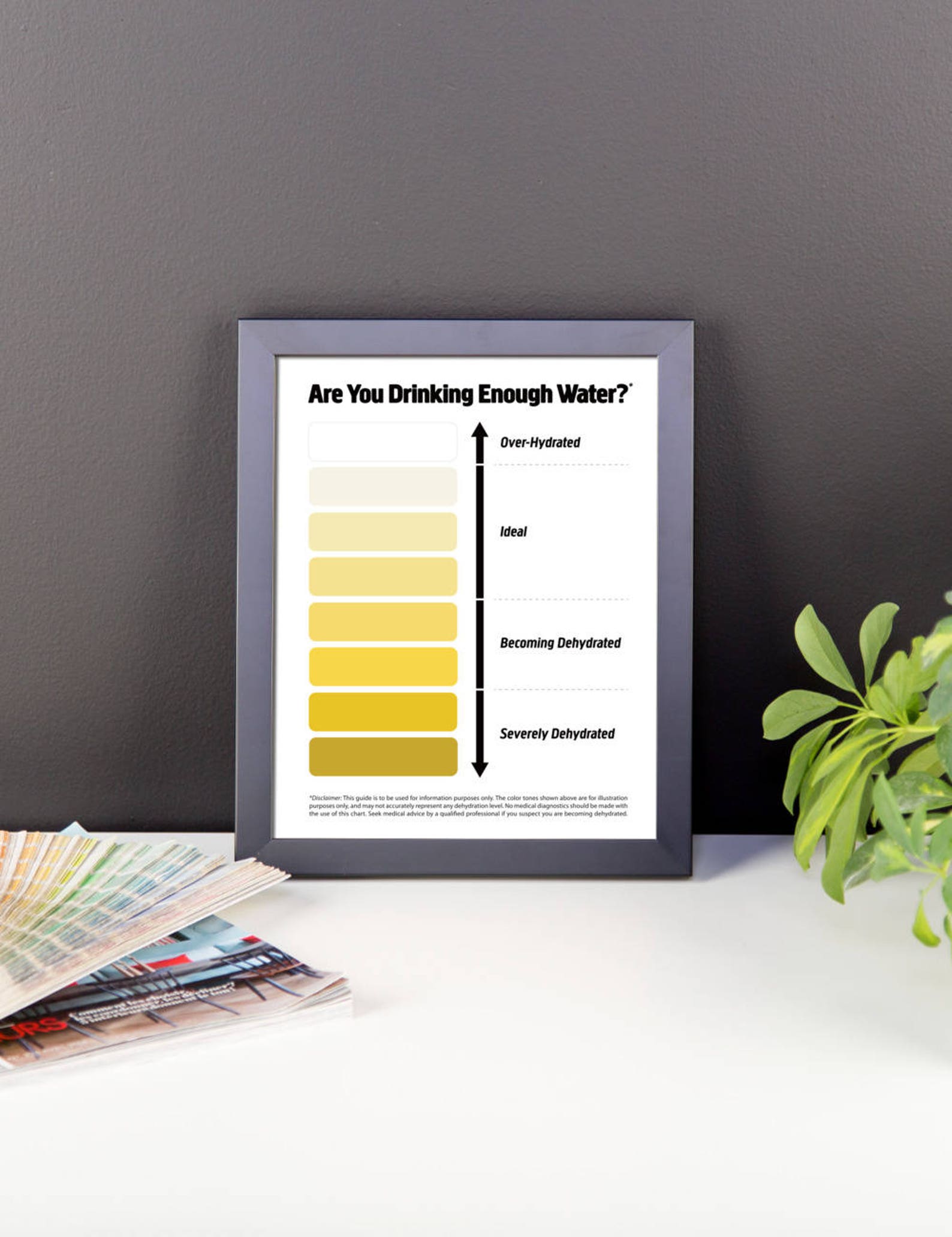 Framed Urine Color Chart, Water Intake Guide - Etsy