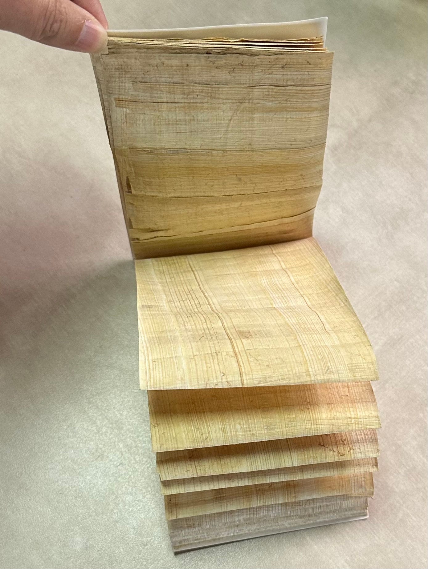 Egyptian Papyrus Blank Notepad - Etsy