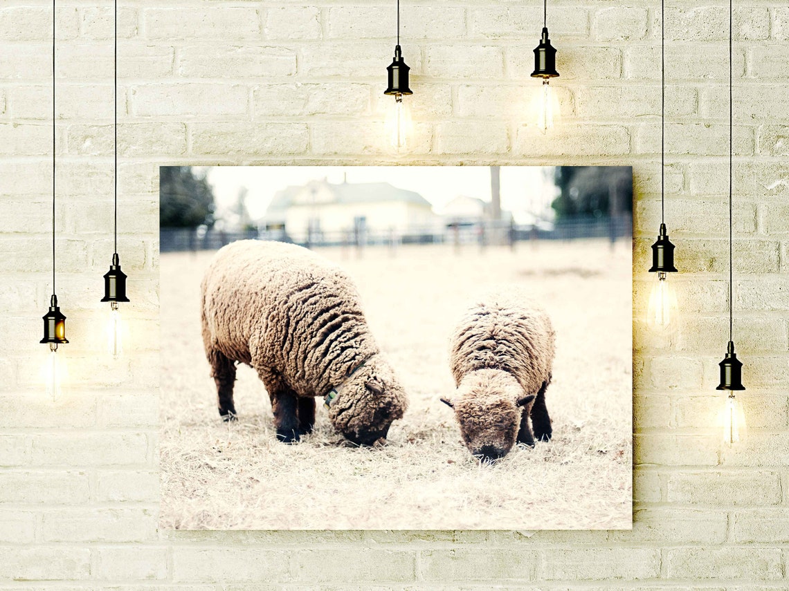 Sheep Wall Art Nursery Decor Modern Farmhouse Decor - Etsy