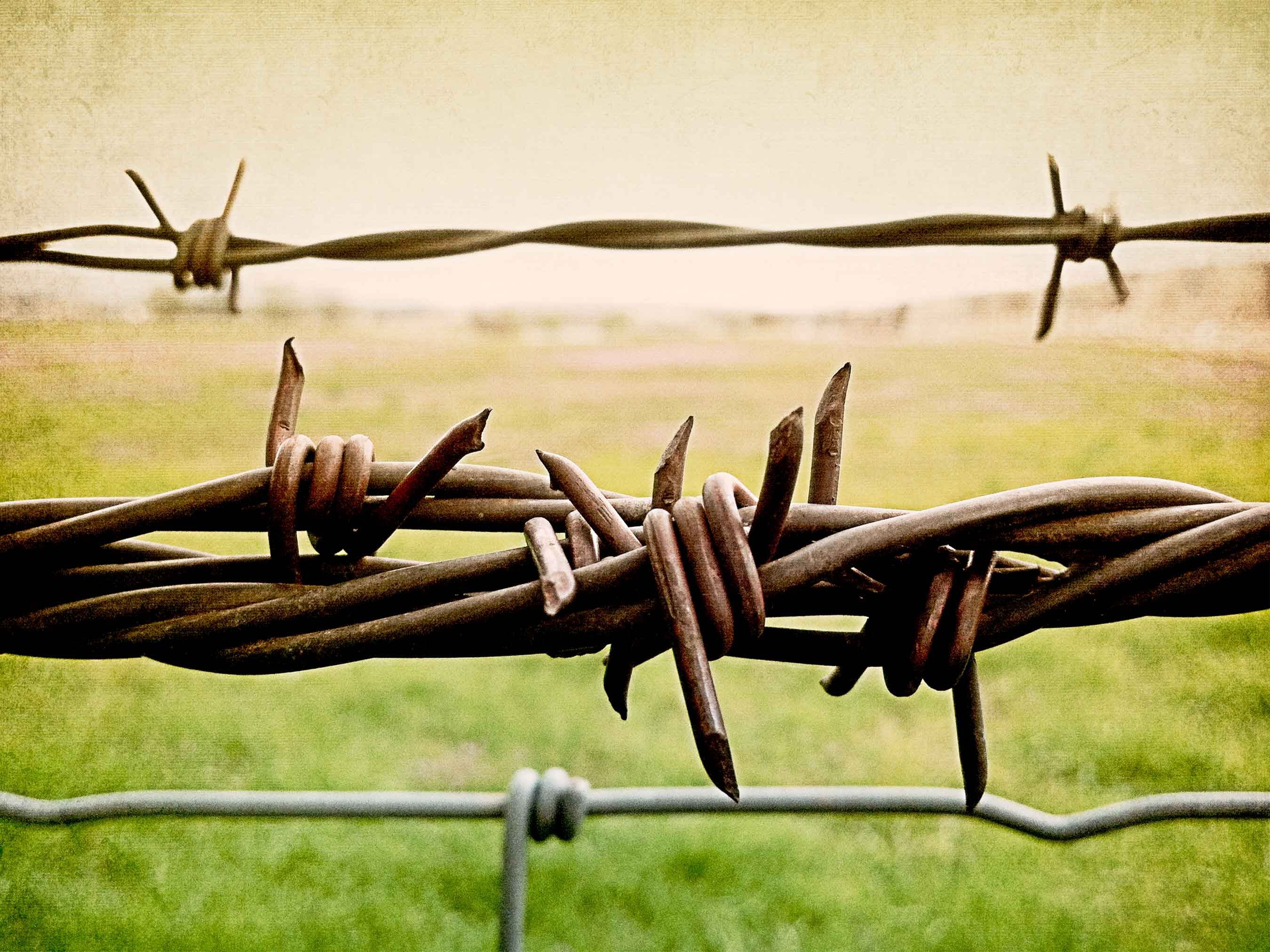 Barb Wire Decorations