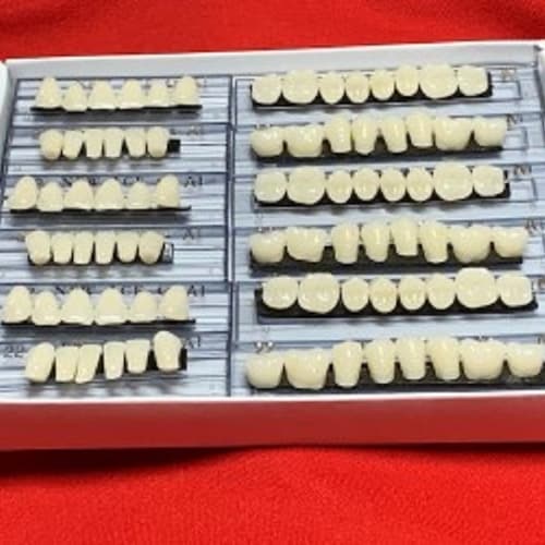 12 Card of Acrylic/resin Teeth Shade A2 Size 22 - Etsy