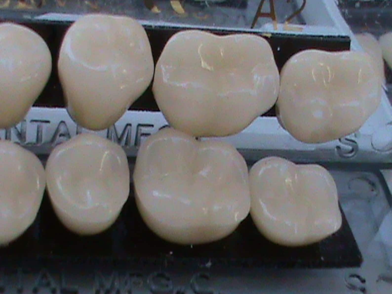 3 Set of Posterior molars Acrylic/resin Teeth Shade A3 - Etsy