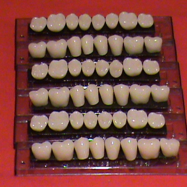 Fake Human Teeth - Etsy