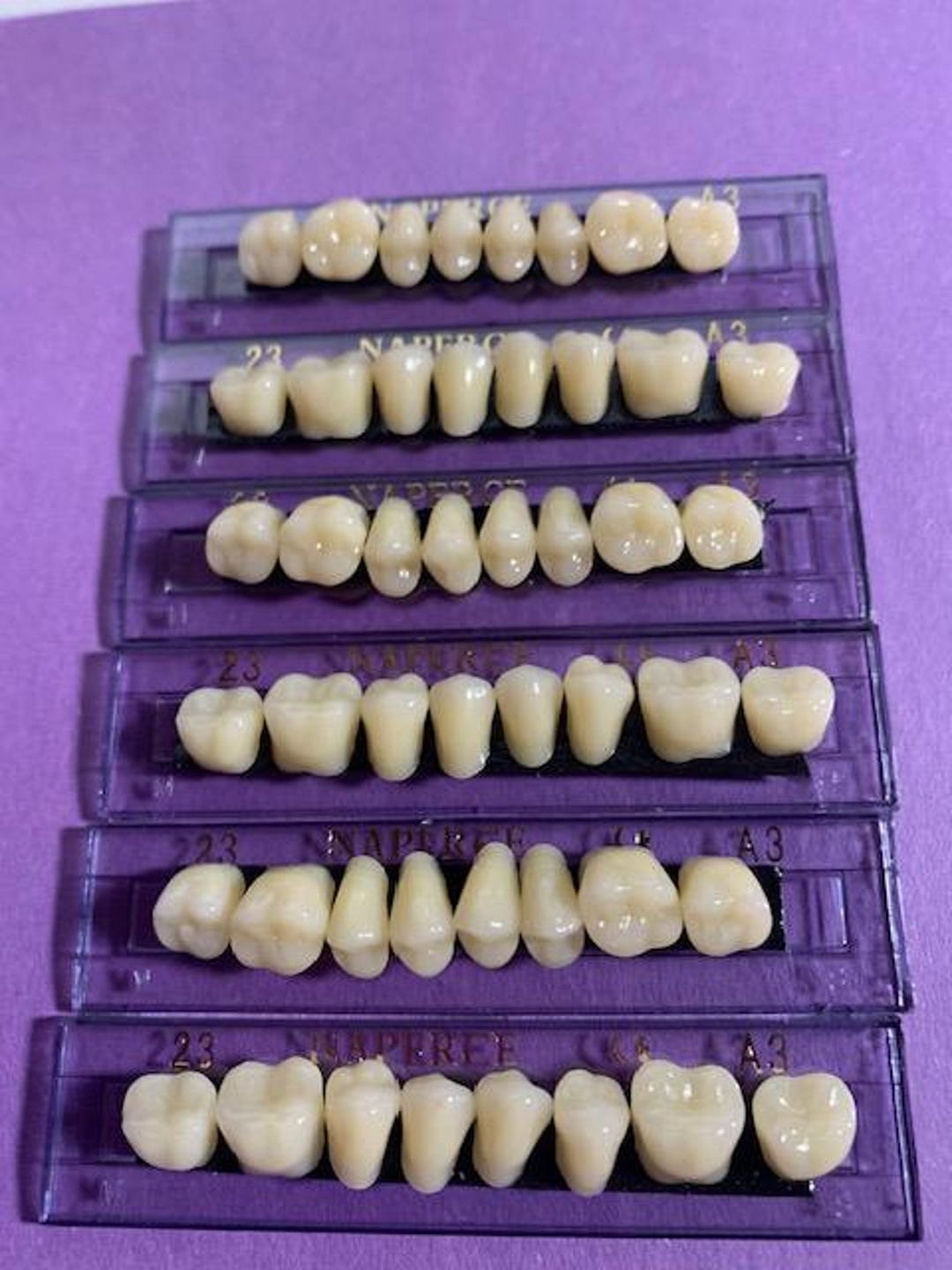 3 Set of Posterior (molars) Acrylic/resin Teeth, Shade A3, Size 22 - Etsy
