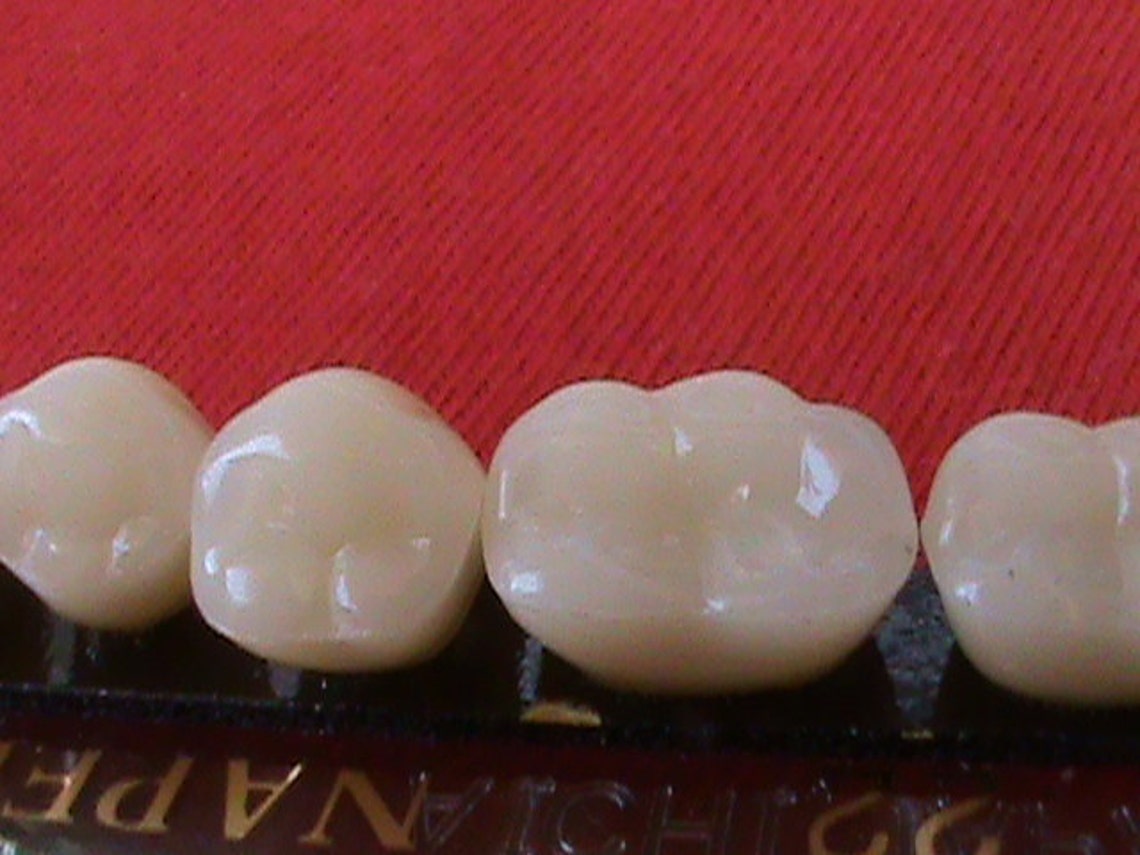 12 Card of Acrylic/resin Teeth, Shade A2 Size 22 - Etsy