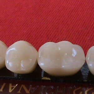 12 Card of Acrylic/resin Teeth, Shade A2 Size 22 - Etsy