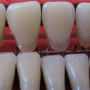 12 Card of Acrylic Resin Teeth Shade A3, Size 22 - Etsy