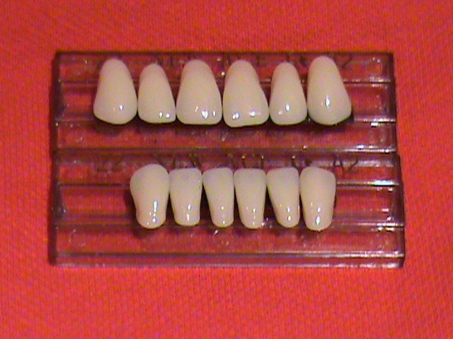 Make Your Own False Teeth Kit