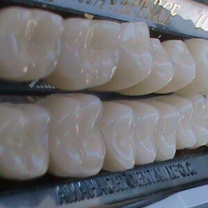 3 Set of Posterior (molars) Acrylic/resin Teeth, Shade A3, Size 22 - Etsy