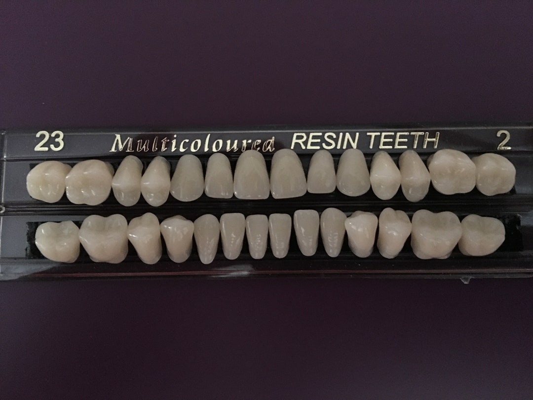 Full Mouth Set of 3 Layer Acrylic Resin Teeth, Size 23, Shade 2 - Etsy