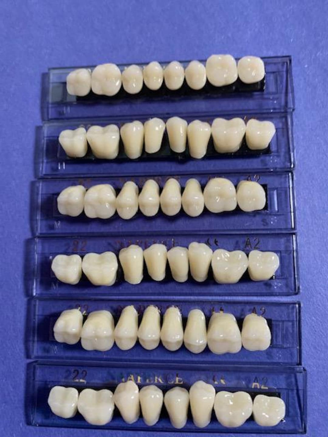 3 Sets of Posterior Acrylic/resin Teeth Shade A2 Size 22 - Etsy