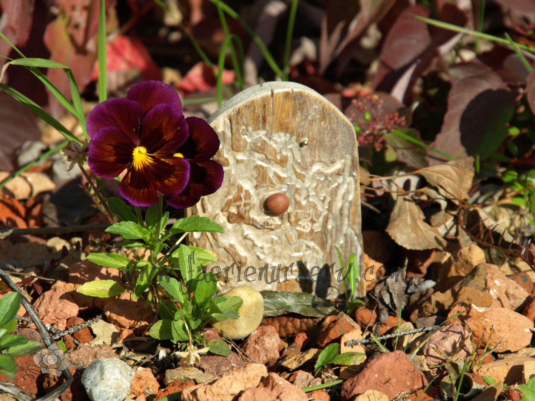 Critters at Found Around the Home, Faerie, Fairy, Bugs, Butterfly ...