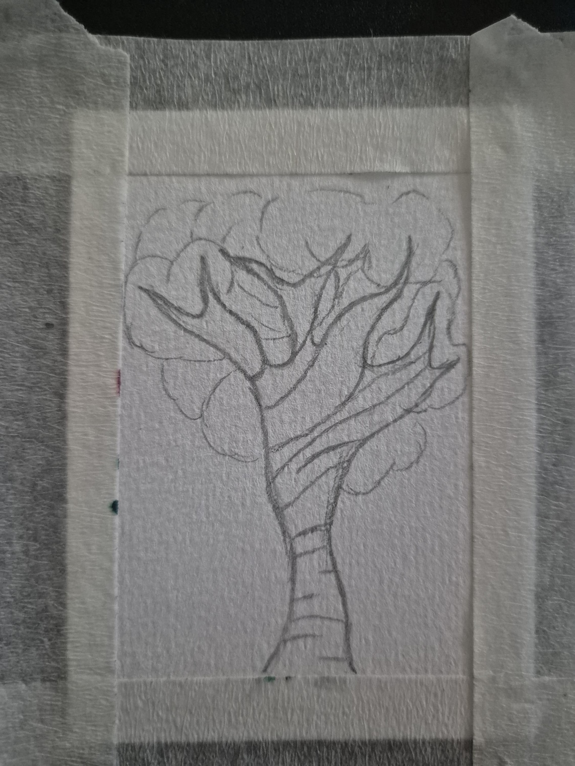 Ancient Apple Tree Art Print | Miniature Nature Illustration (ACEO) - Etsy