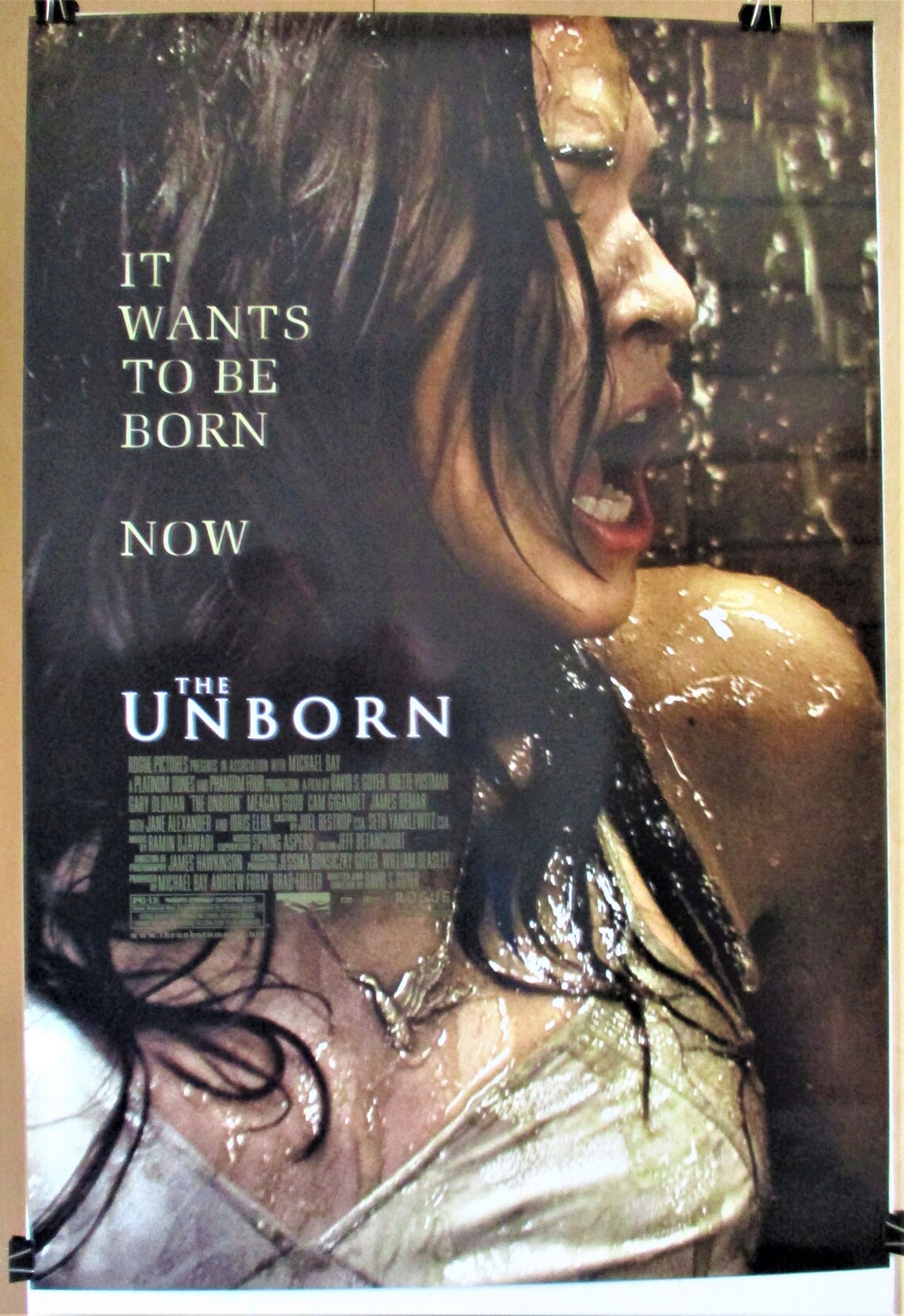 The UNBORN Original Rolled 27 X 40 Movie Poster - Etsy
