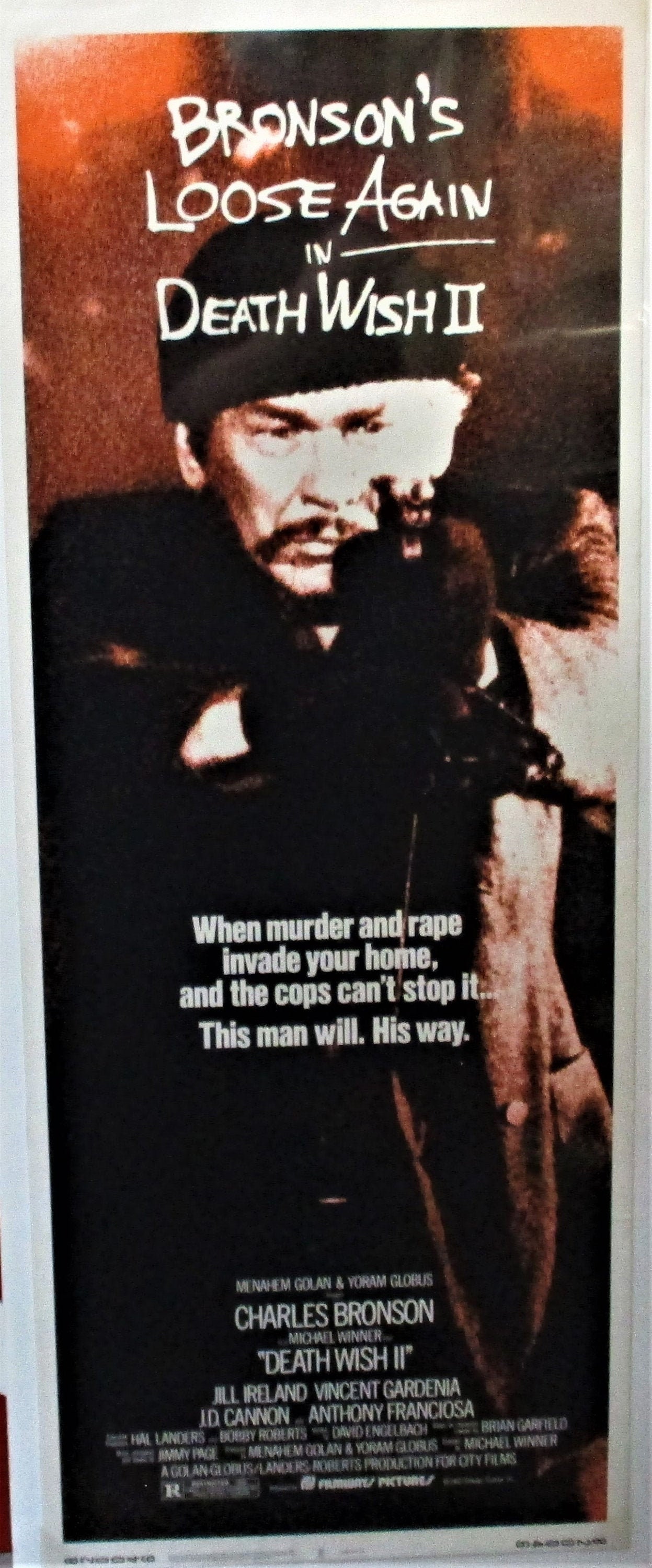 Death Wish Movie Poster