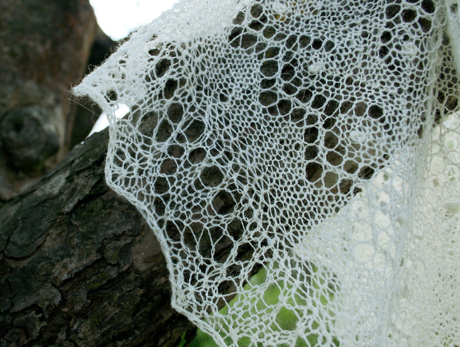 100% cashmere luxury lace shawl hand knit lace knit wedding | Etsy