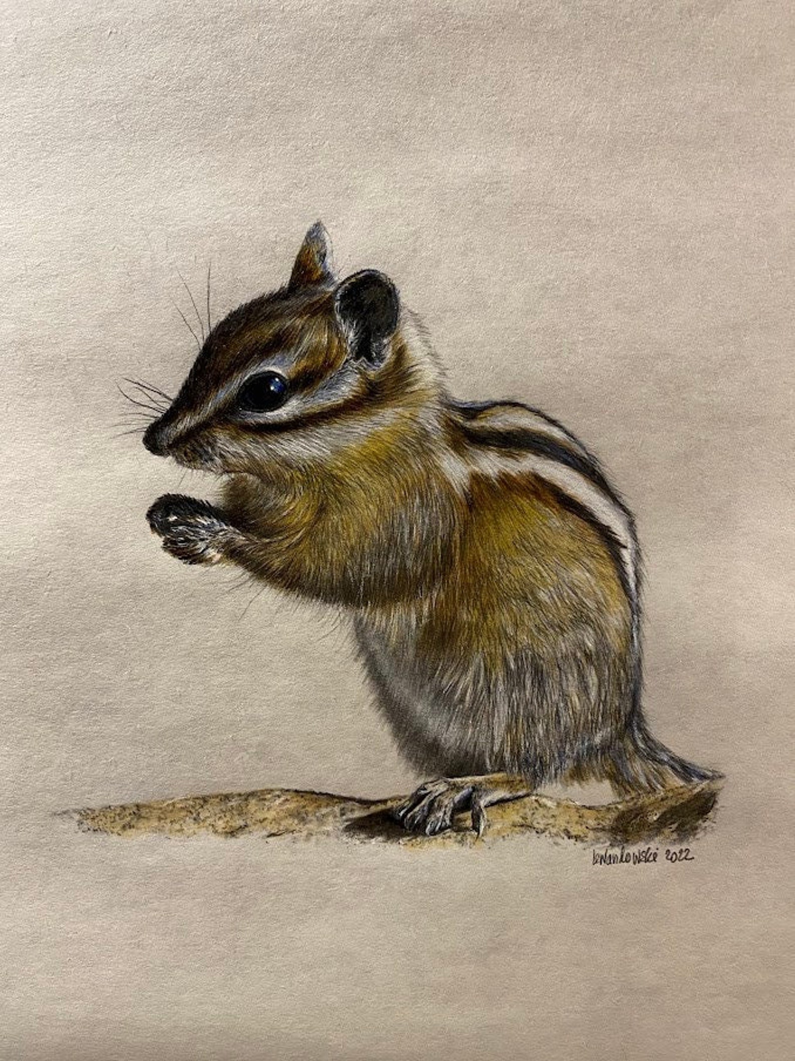 Chipmunk - Etsy