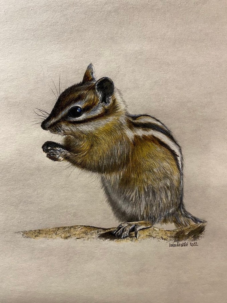 Chipmunk - Etsy