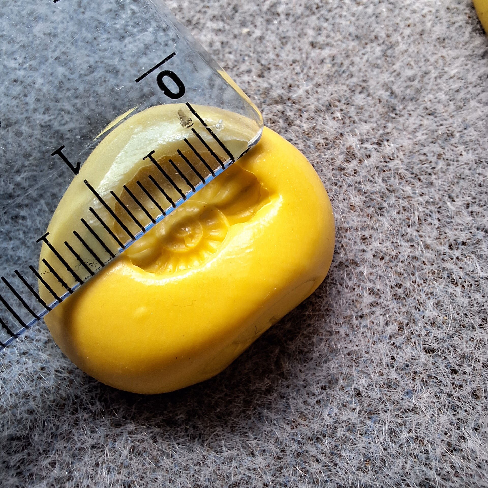 Mini Fossil Mould Set - Ammonite, Shark Tooth, Starfish - 10-15mm Size ...