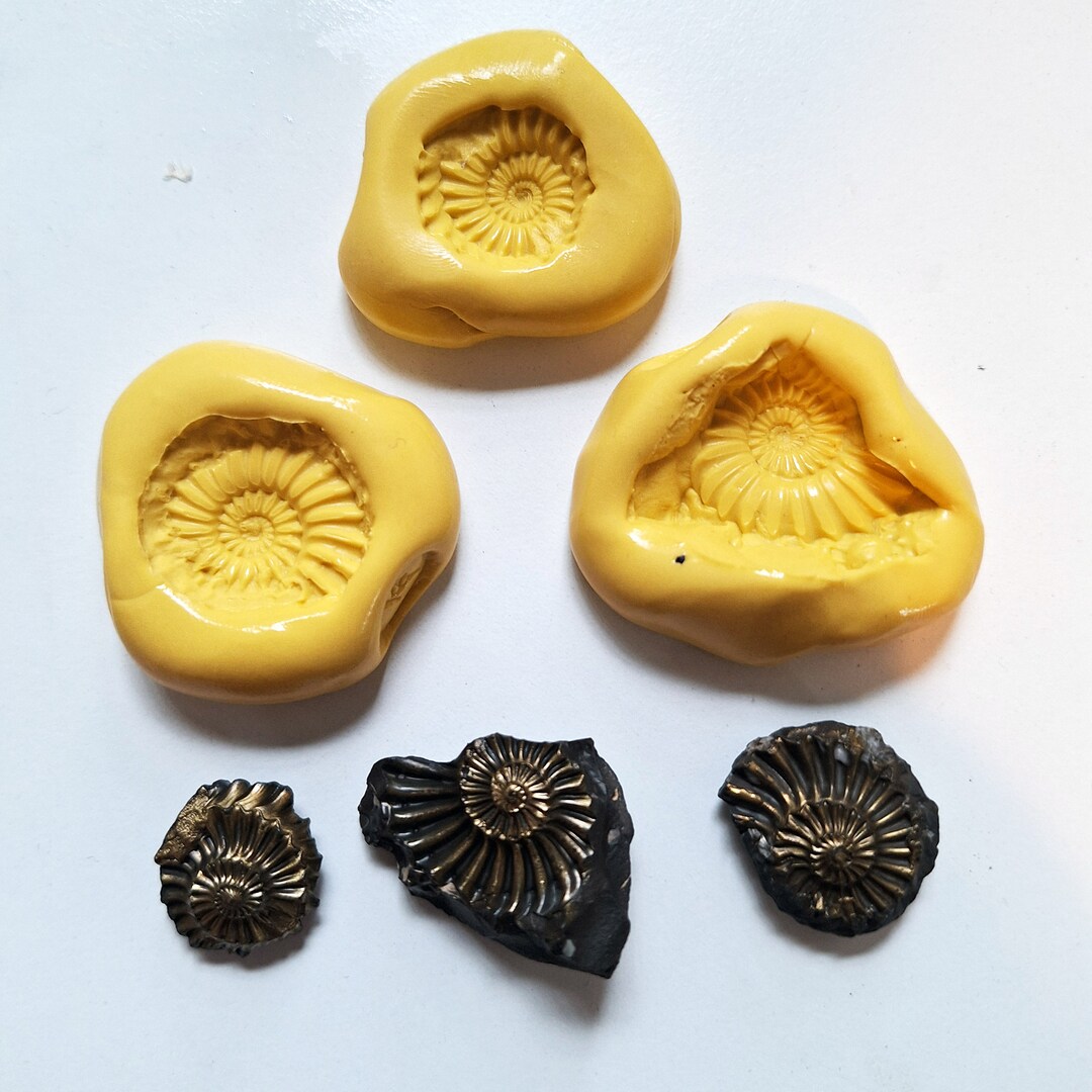 Ammonite Fossil *inverse* Silicone Mould Set: Rubber Mould for Crafts ...