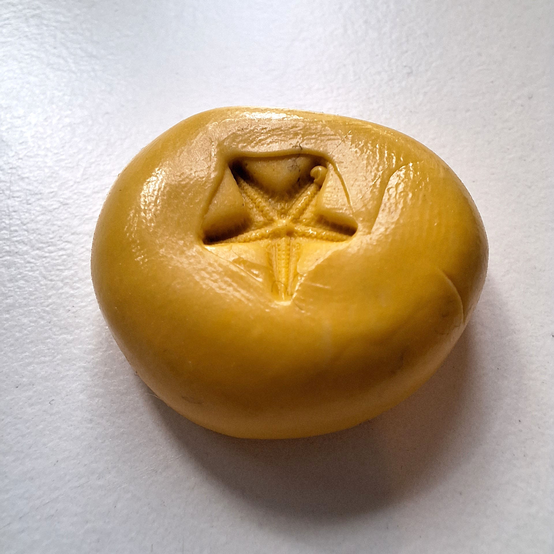 Mini Fossil Mould Set - Ammonite, Shark Tooth, Starfish - 10-15mm Size ...