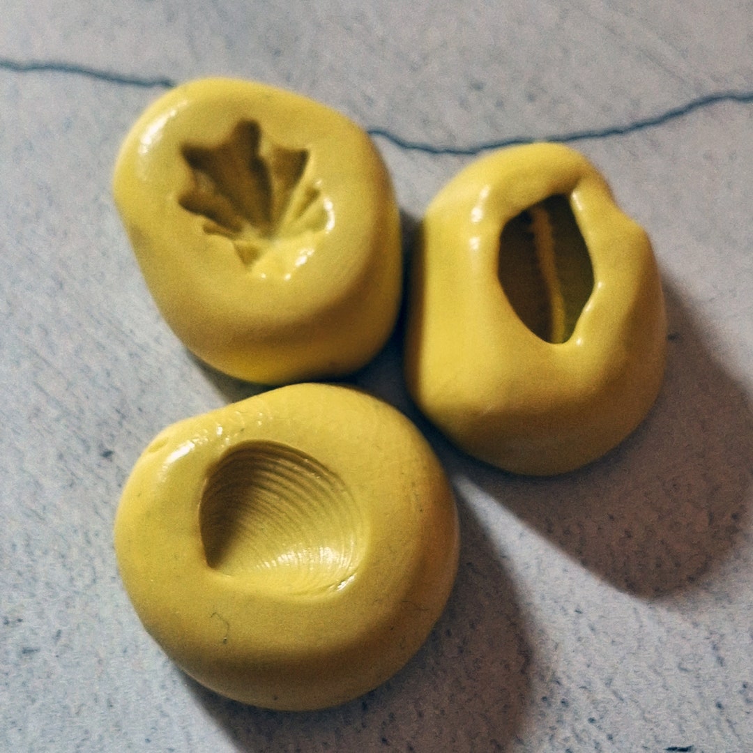 Mini Shell Mould Set - Limpet, Cowrie & Clam Shells - Around 1cm in ...