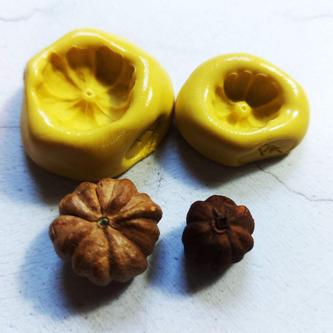 Natural Putka Seed Pod Mould (pumpkin) - Small Craft Moulds - Use With ...