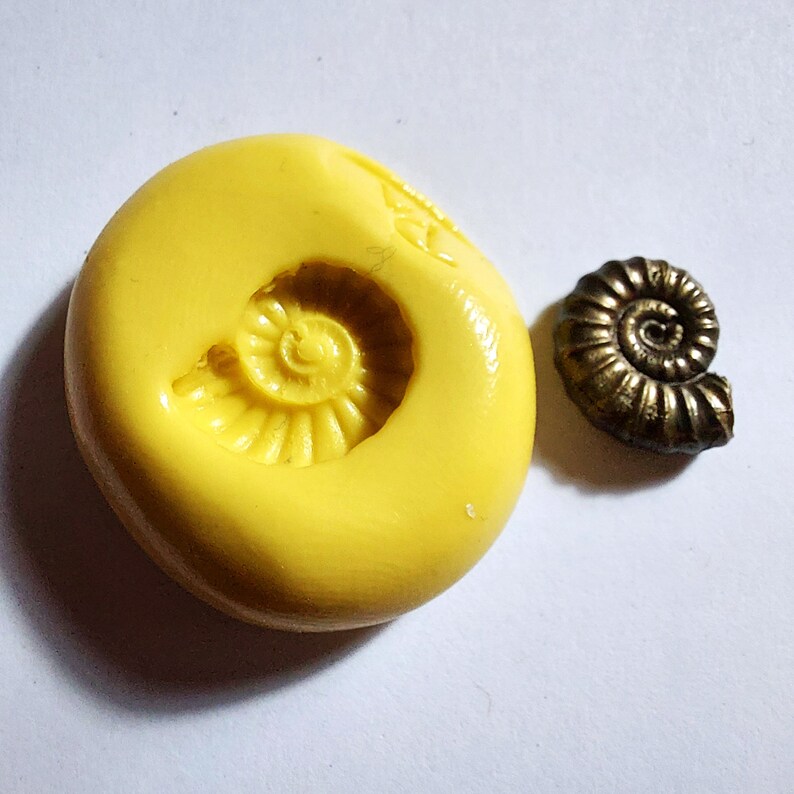 Mini Fossil Mould Set - Ammonite, Shark Tooth, Starfish - 10-15mm Size ...