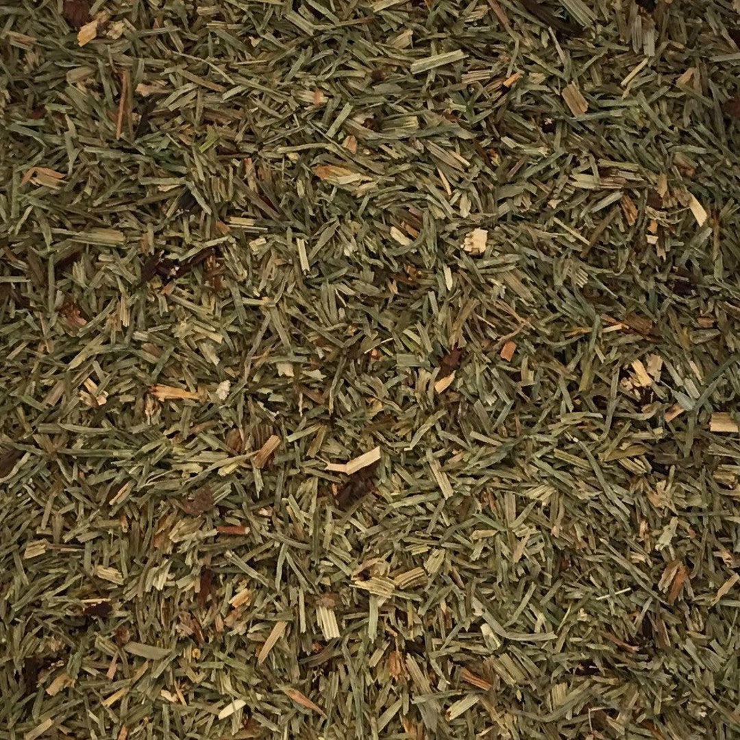 Shavegrass horsetail Leaf and Stem Equisetum Arvense - Etsy