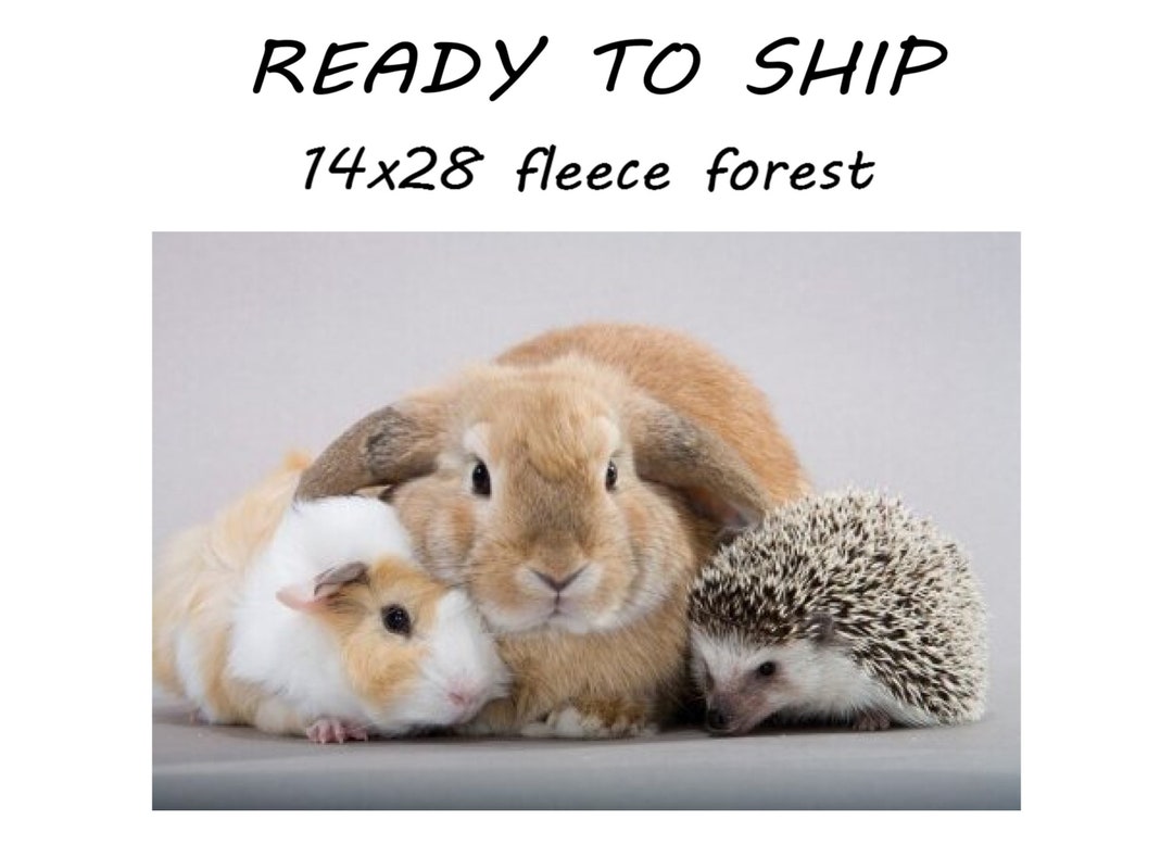 Custom Fleece Forest Corner Curtain Hidey Hedgehogs, Guinea Pigs ...